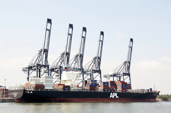 Terminales e Instalaciones