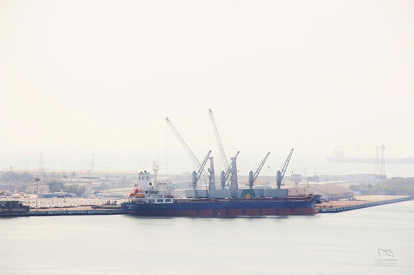 Terminales e Instalaciones