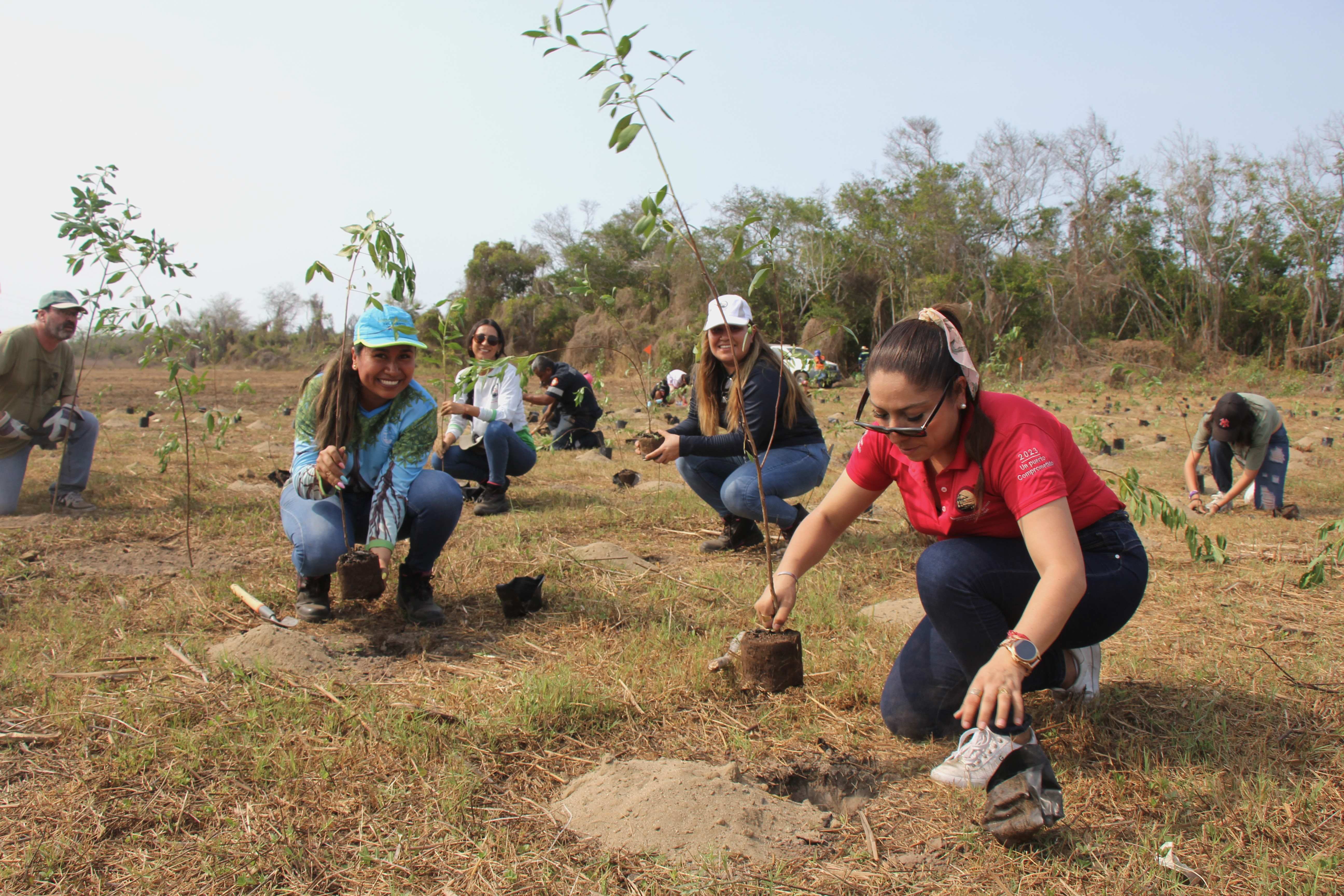 PARTICIPATIVA CAMPAÑA DE REFORESTACIÓN DE LA ASIPONA LÁZARO CÁRDENAS.